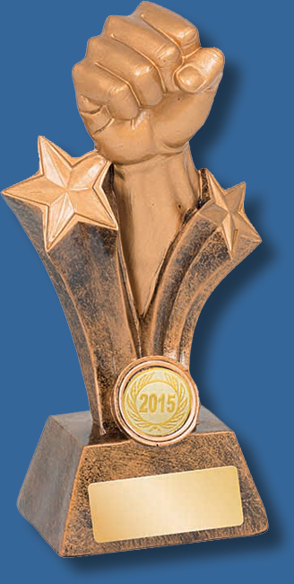 Martial Arts Trophies and Awards • Discounted with engraving included