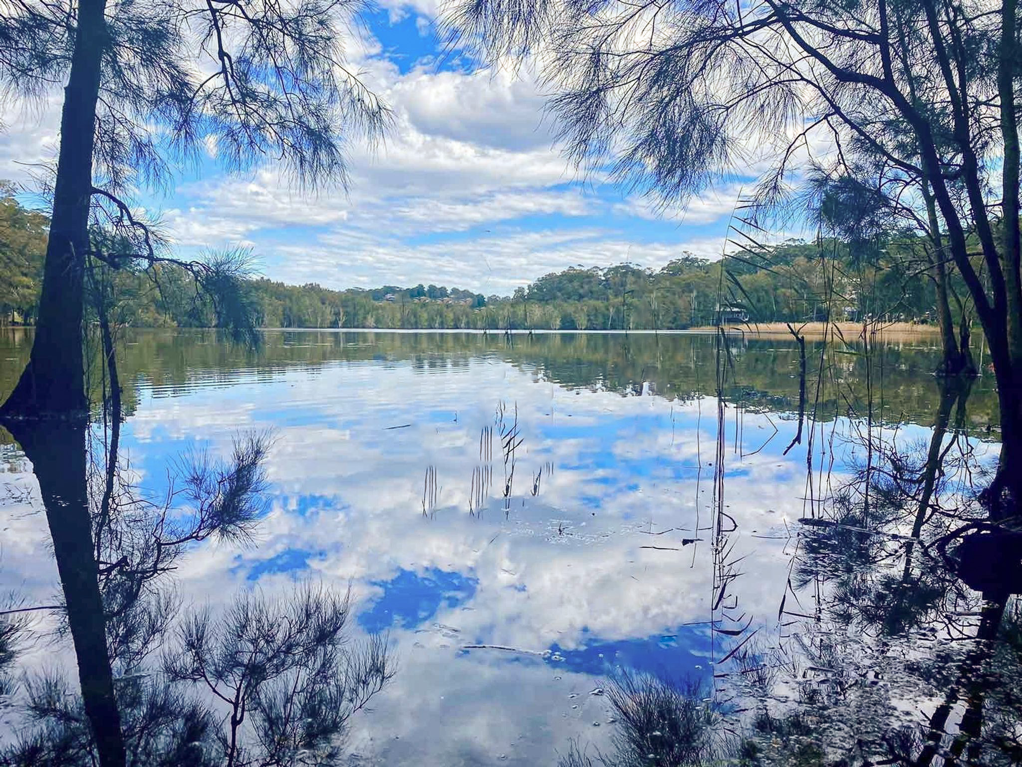 Bush Walks on the Central Coast | directions maps trails & photos